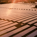 Molycop - Progress Together | Molycop